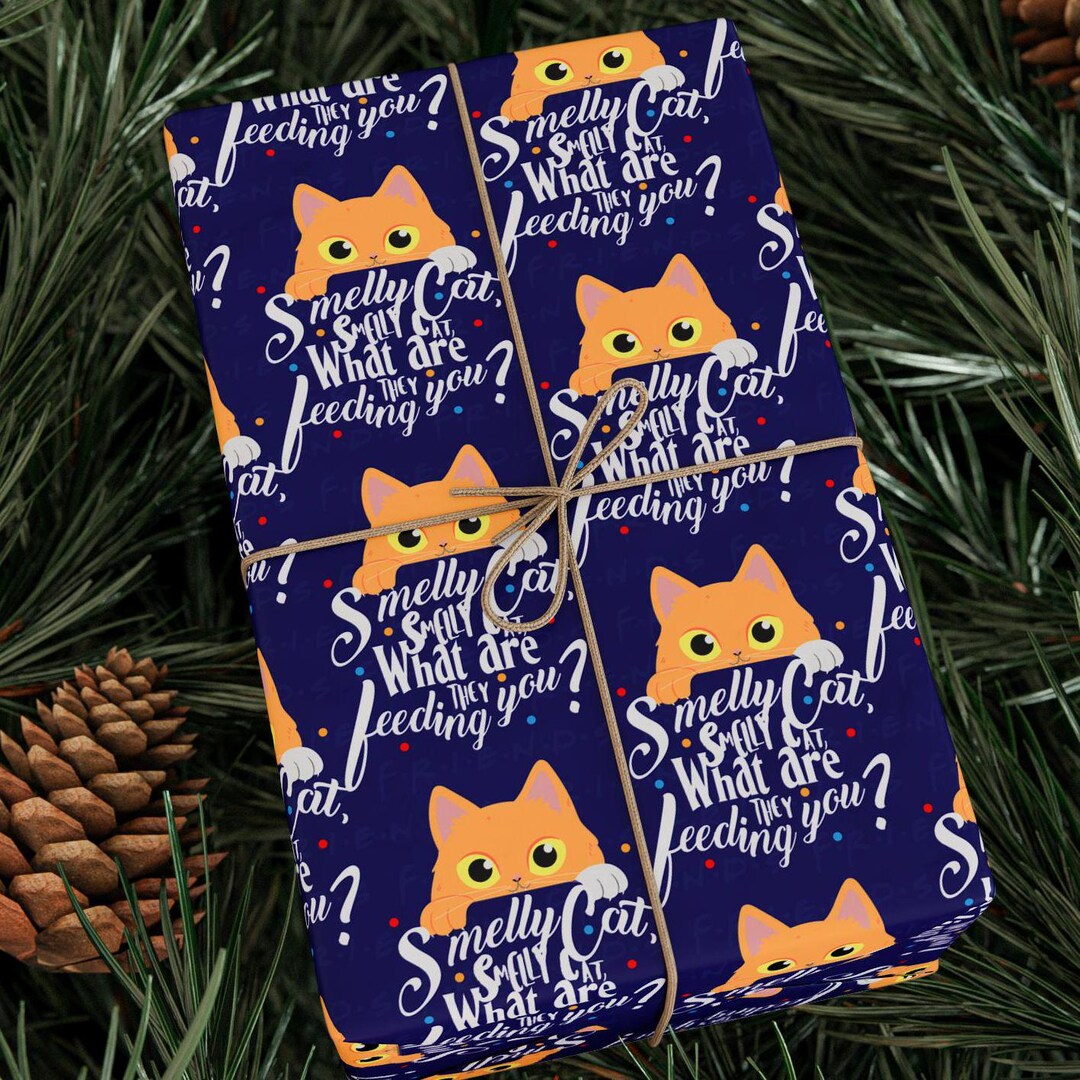 Smelly Cat Wrapping Paper Funny Friends TV Show Gift Wrap for Fans ...