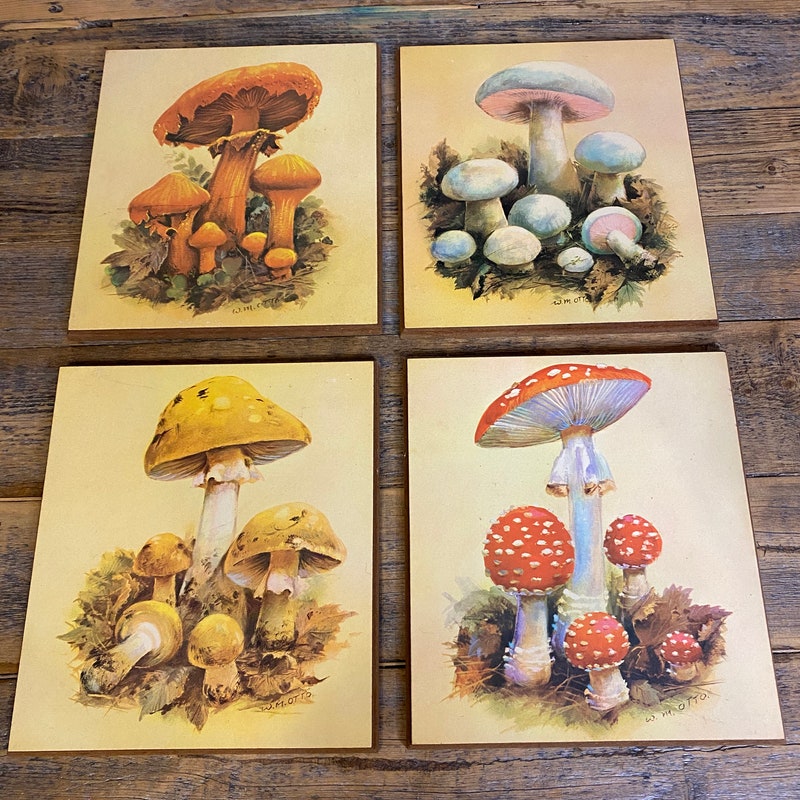 Vintage Mushroom Art - Etsy