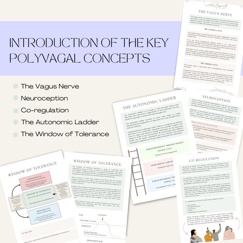 Polyvagal Theory Workbook for Nervous System Regulation Worksheets for ...