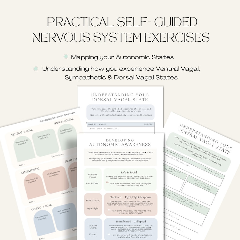 Polyvagal Theory Workbook for Nervous System Regulation Worksheets for ...