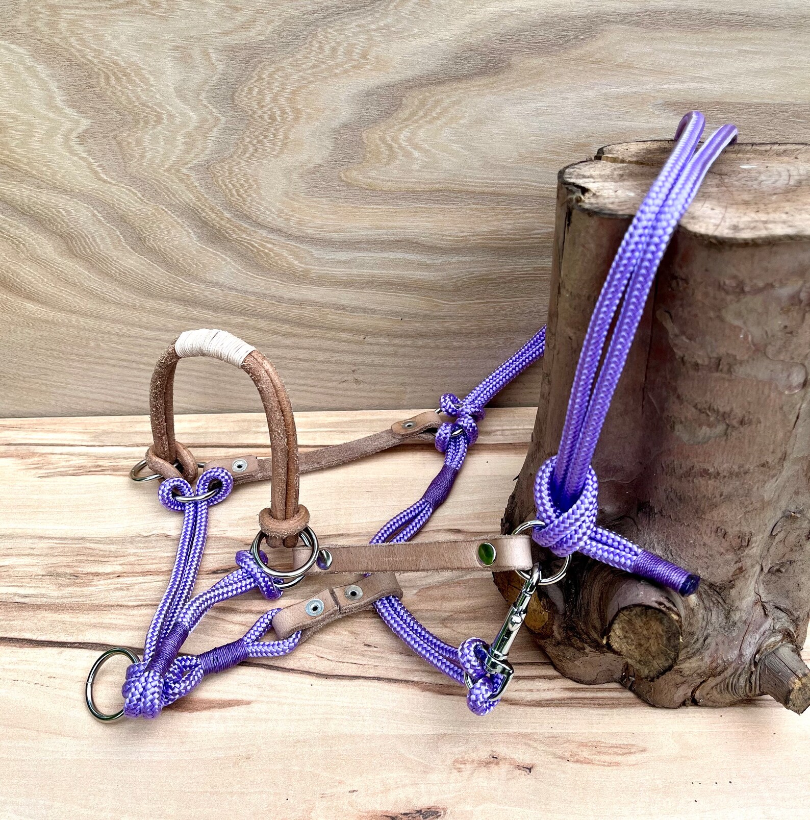 Leather Sidepull With Leather Noseband Size Shetty - Etsy