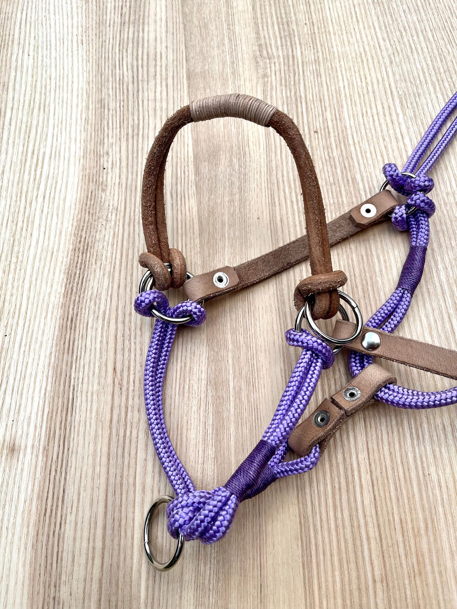 Leather Sidepull With Leather Noseband Size Shetty - Etsy