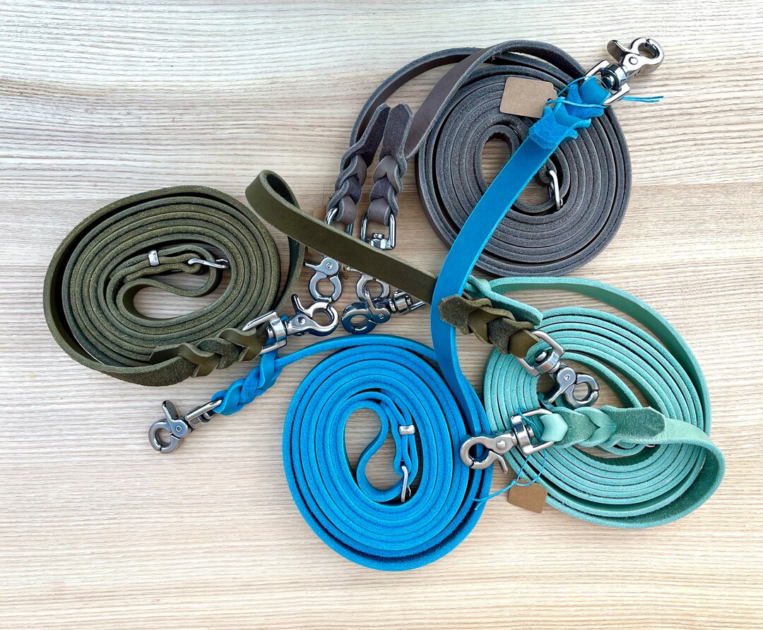Leather Reins Made of Colored Greased Leather in Mint - Etsy