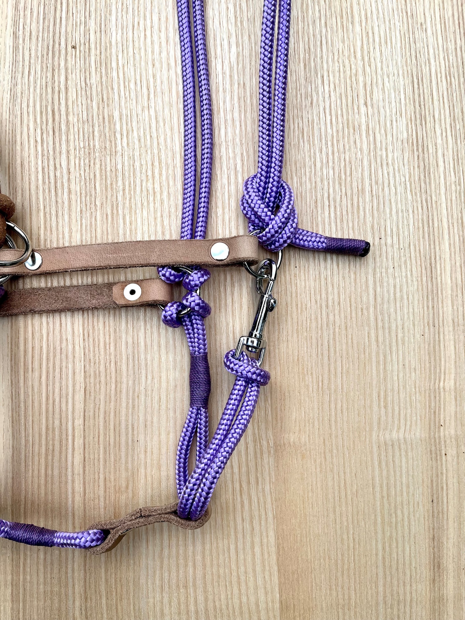 Leather Sidepull With Leather Noseband Size Shetty - Etsy