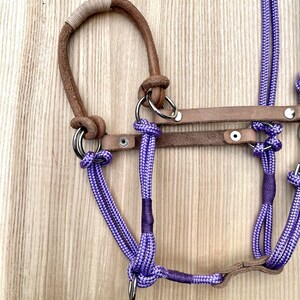 Leather Sidepull With Leather Noseband Size Shetty - Etsy