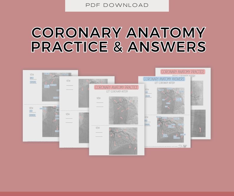 Coronary Anatomy Labeling Worksheet - Etsy