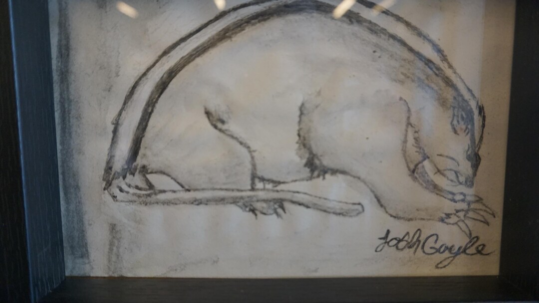 Badger Avatar the Last Air Bender - Water Color - Etsy