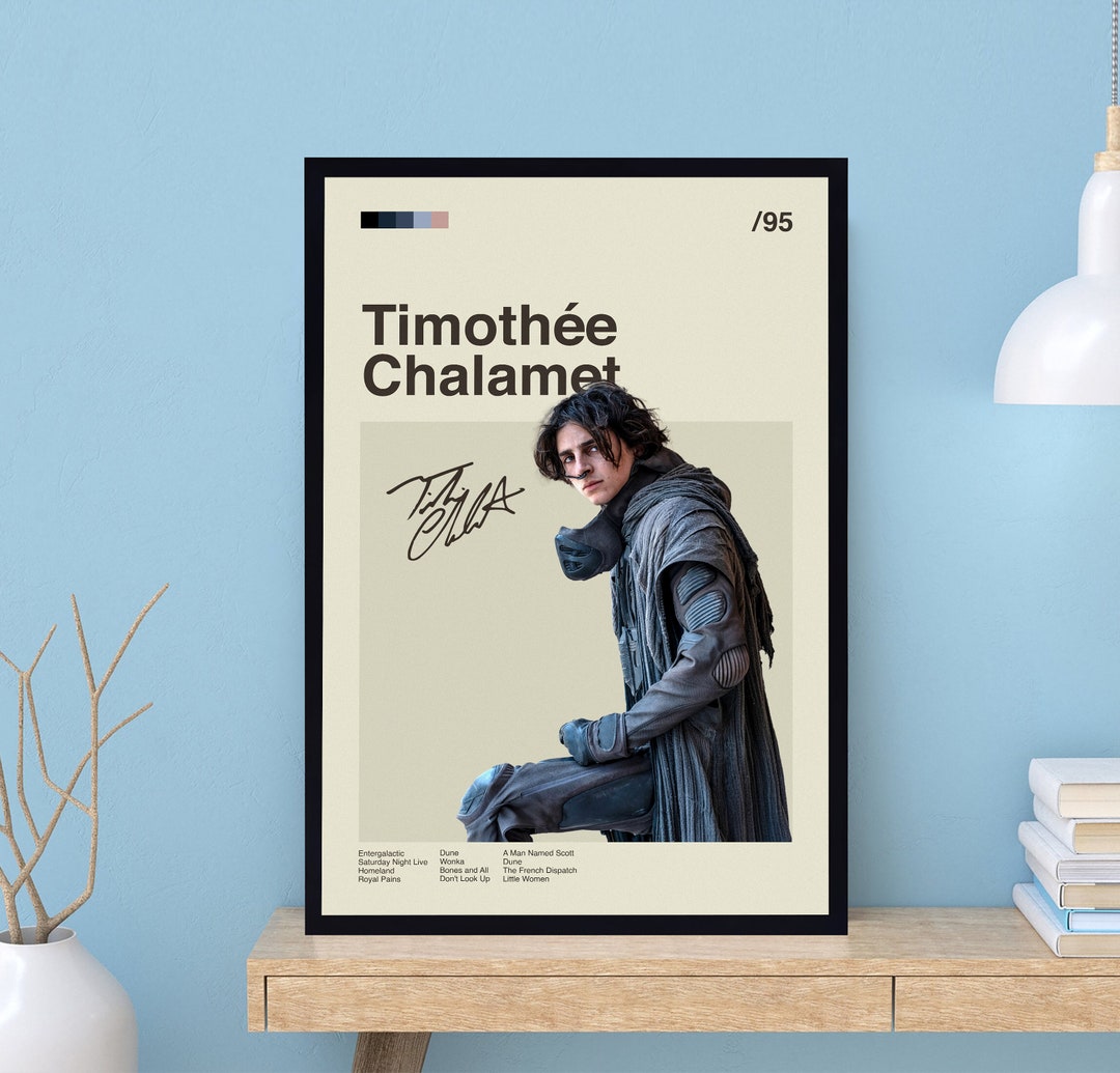 Vintage Timothée Chalamet Poster, Mid Century Art, Minimalist Art ...