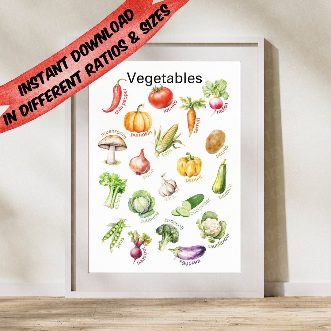 Vegetable Educational Print Poster Home Schooling Montessori Education ...