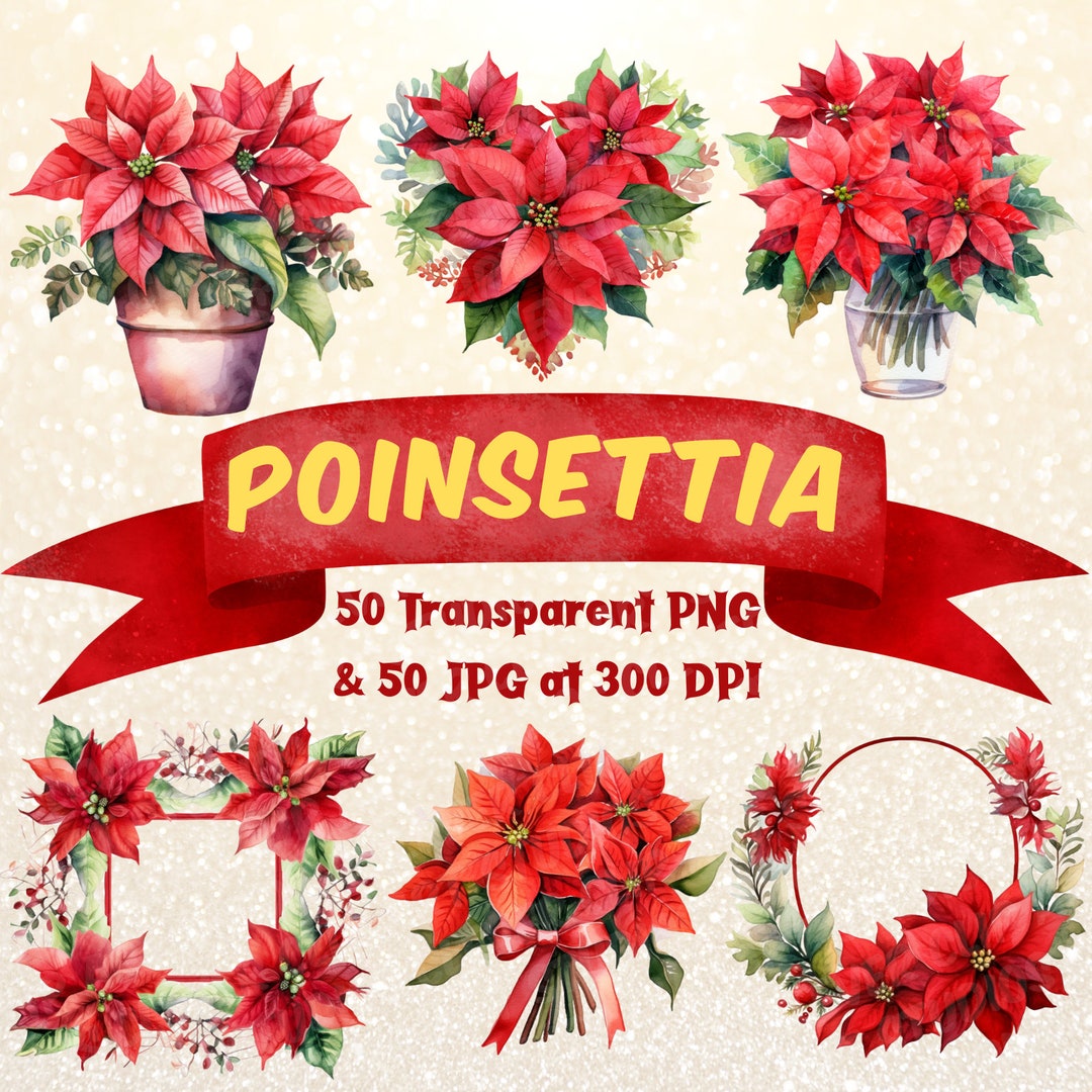 Christmas Poinsettia Flower Clipart Bundle Festive Poinsettia ...