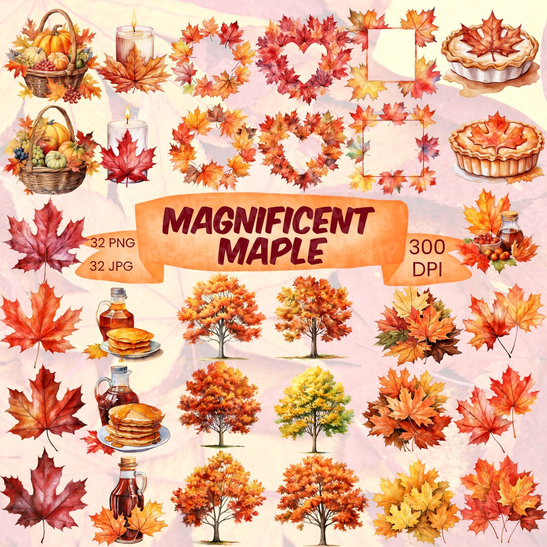 Maple Watercolor Clipart Bundle Autumn Maple Leaves Fall PNG Maple Tree ...