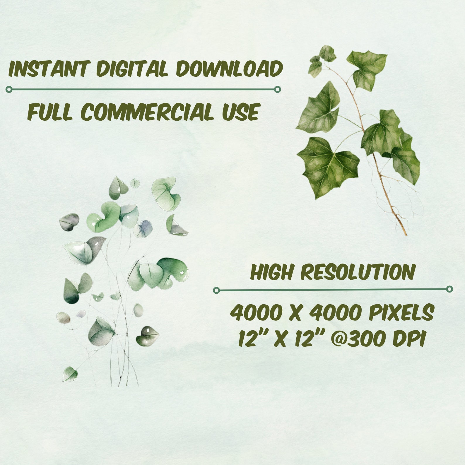 Watercolor Greenery Leaves Clipart PNG Greenery Bundle Clipart Fern Ivy ...