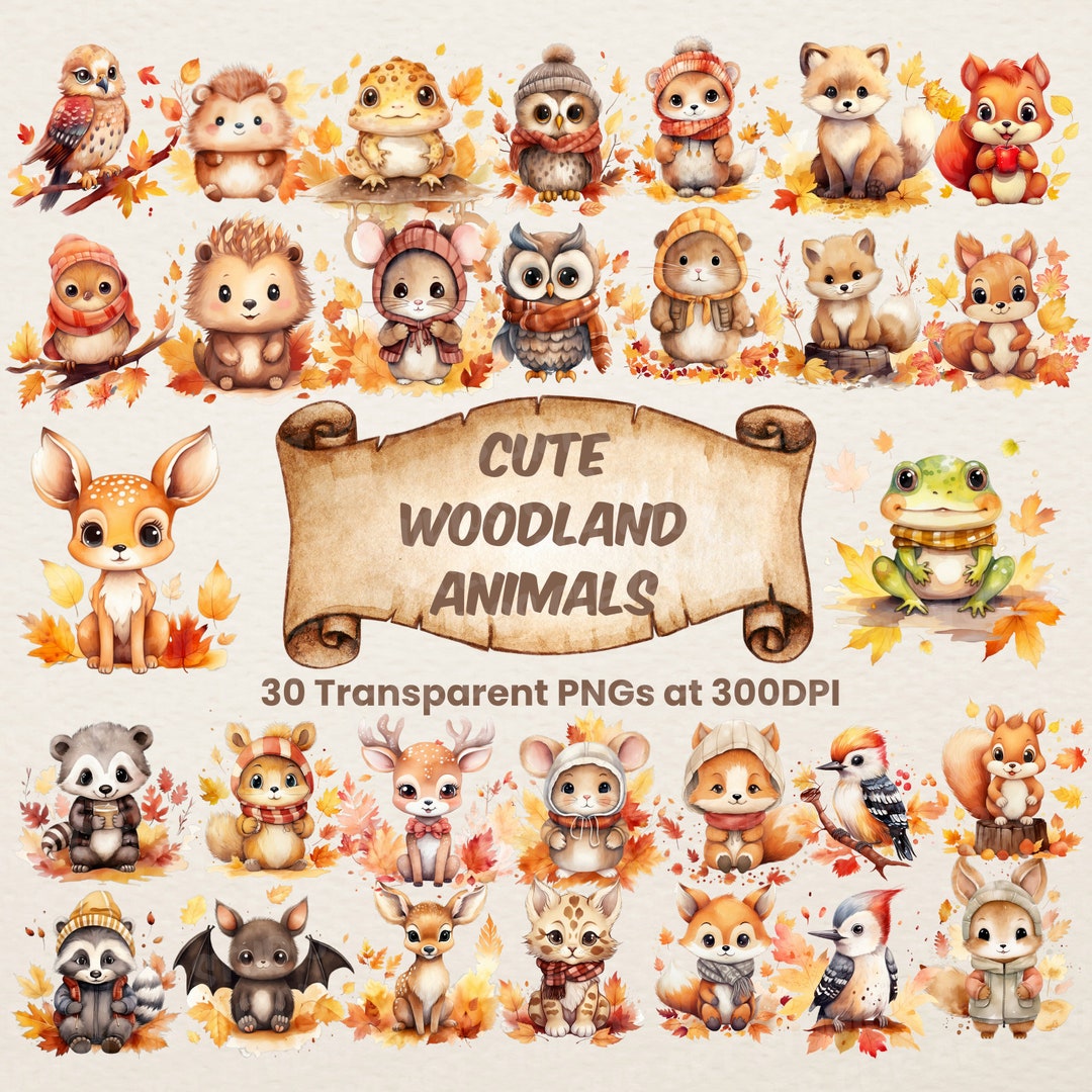 Cute Woodland Animal Autumn Clipart Fall Transparent PNG Bundle Cozy ...