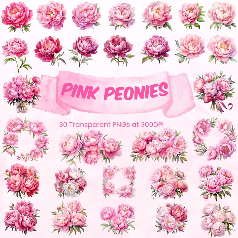 Watercolor Pink Peonies Peony Clipart Pink Flowers Png Peony Flowers ...