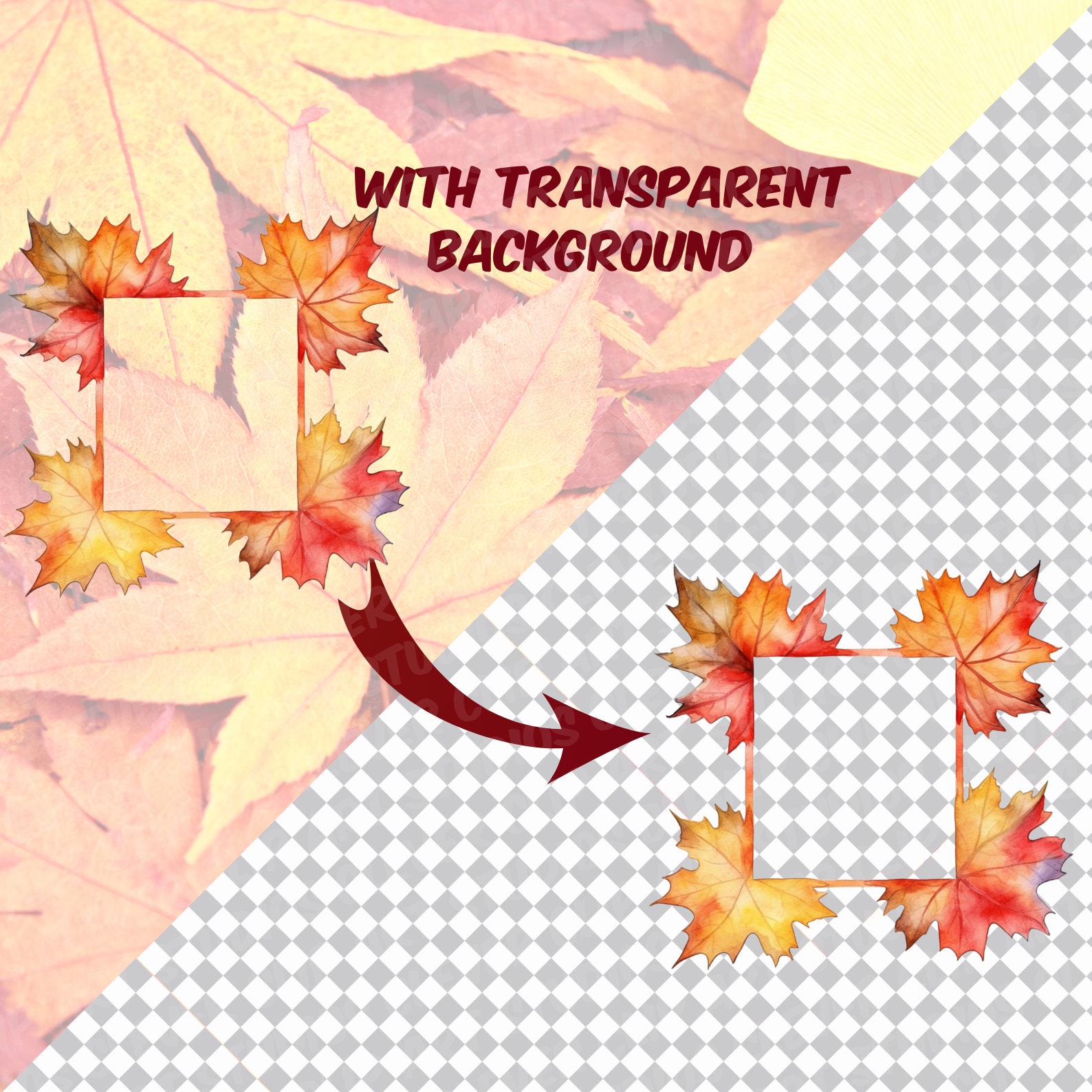 Maple Watercolor Clipart Bundle Autumn Maple Leaves Fall PNG Maple Tree ...