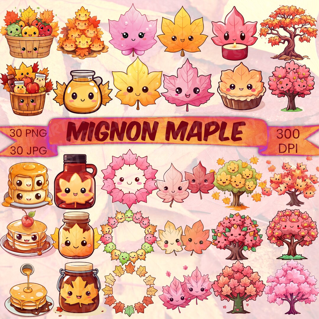 Cute Maple Leaves Clipart Bundle Kawaii Autumn Maple Leaf Cute Fall PNG ...