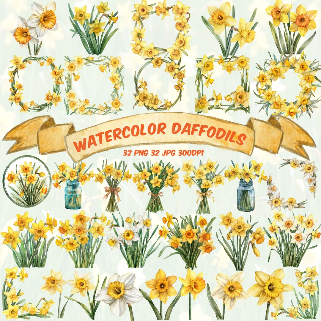 Watercolor Daffodil Clipart Bundle Narcissus PNG Bundle Yellow Wedding ...