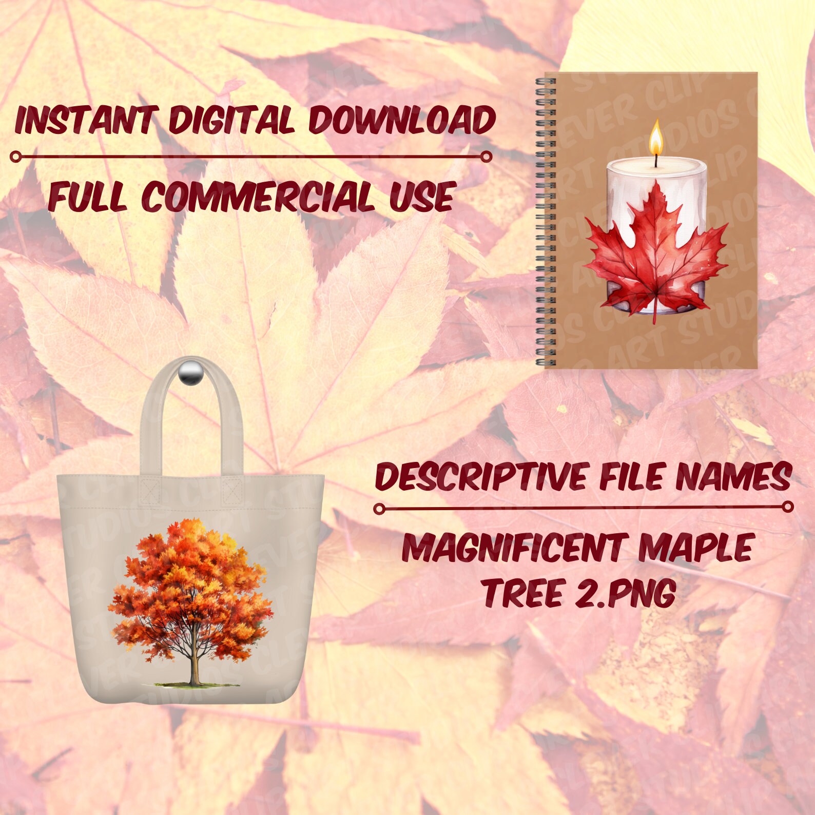 Maple Watercolor Clipart Bundle Autumn Maple Leaves Fall PNG Maple Tree ...