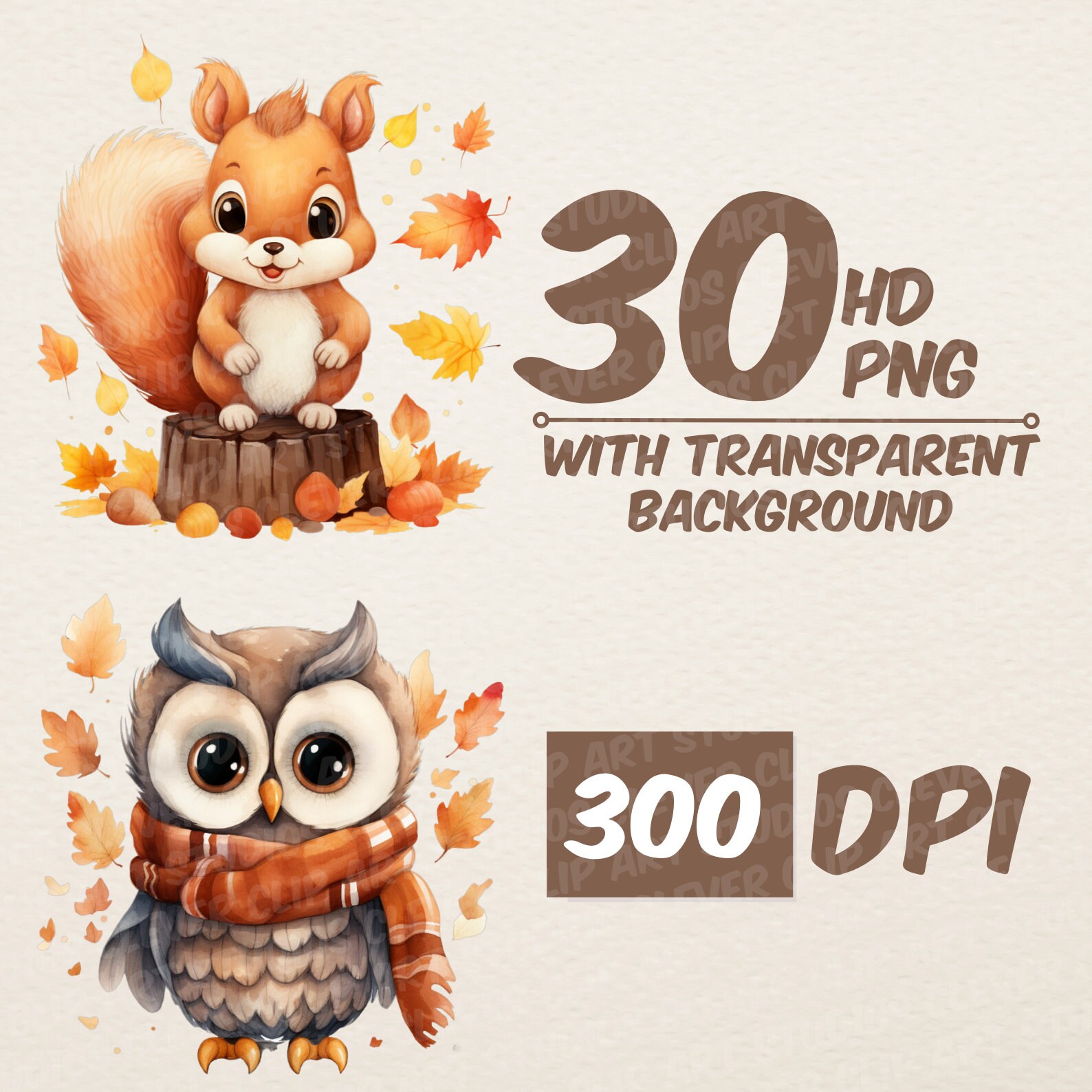 Cute Woodland Animal Autumn Clipart Fall Transparent PNG Bundle Cozy ...