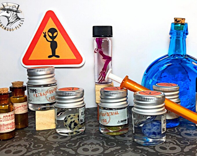 Alien Egg Prop Specimens | Prop Sci-fi Handmade Decor Jars - Etsy
