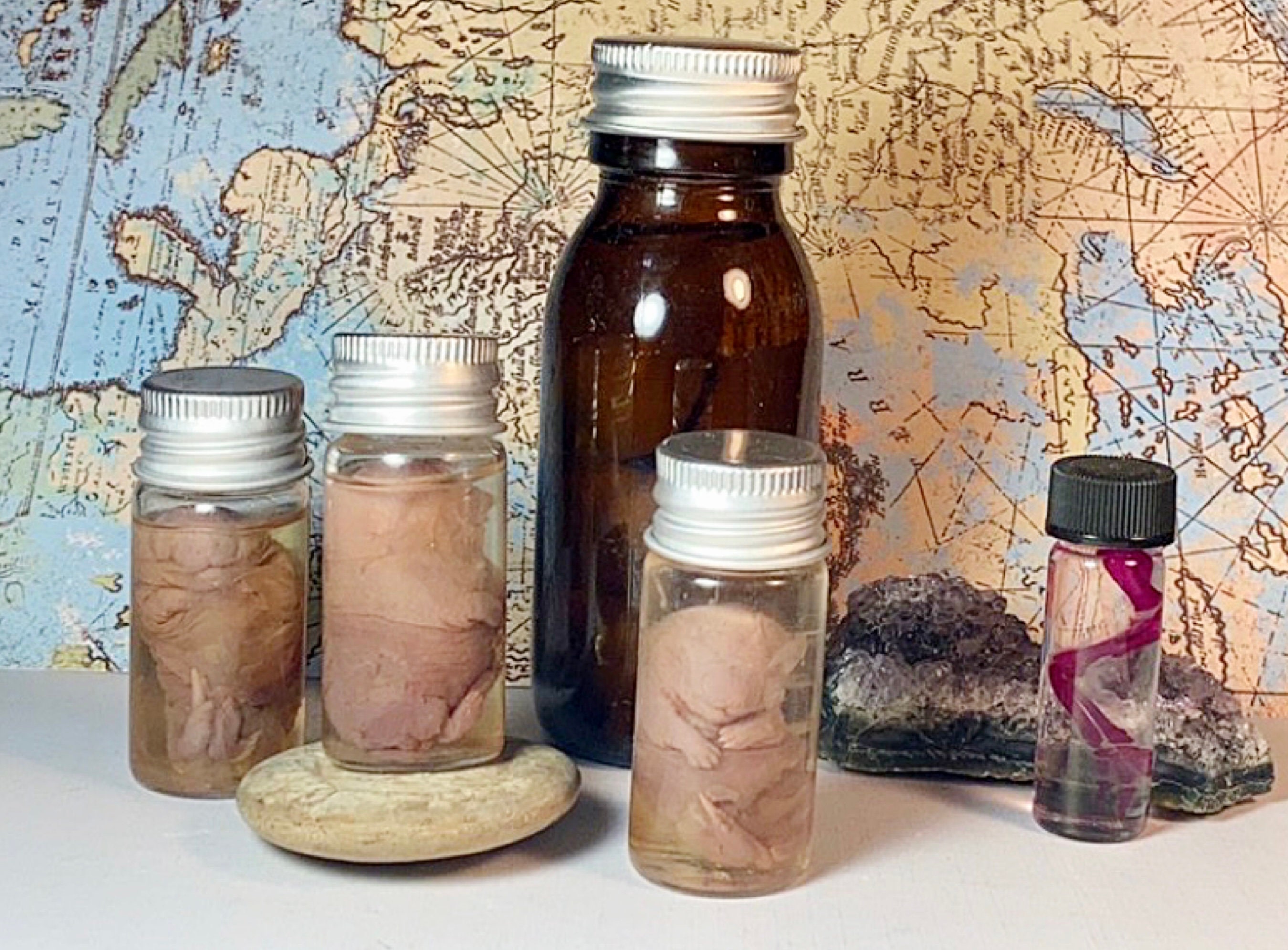 RAT FETUS Wet Specimens 100% Genuine Real Baby Rats in Jars Taxidermy ...