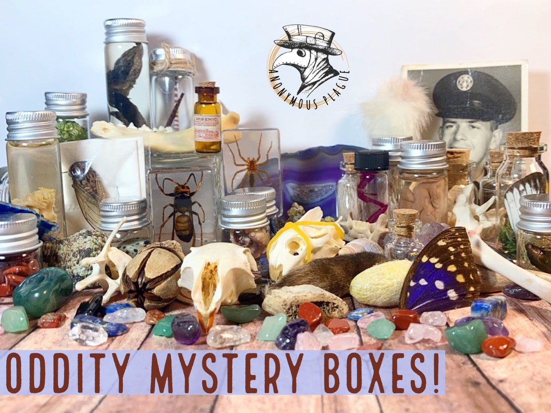 ODDITY MYSTERY BOXES Oddity and Curiosity Boxes for Collectors Wet ...