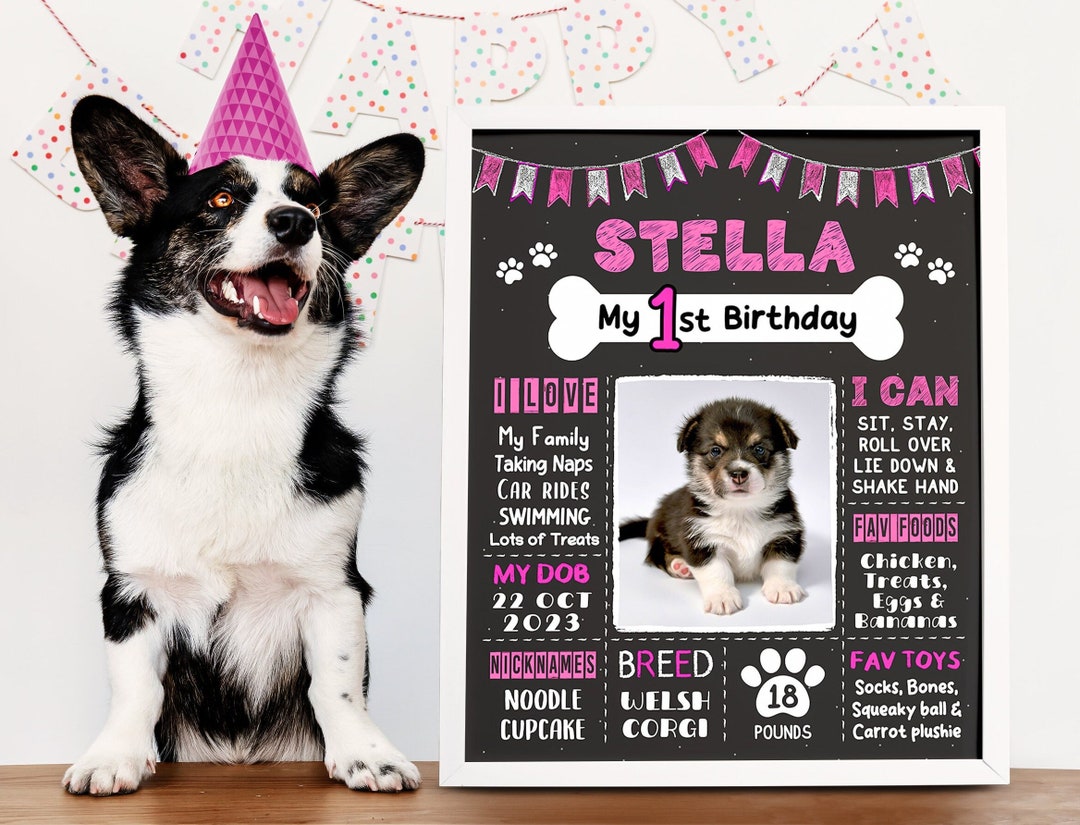 Custom Dog Birthday Milestone Sign Photo First Birthday Poster for Dogs ...