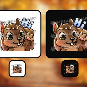 Squirrel Twitch Emotes Pack 6x Animal Adorable Cute Kawaii Sus Hype ...