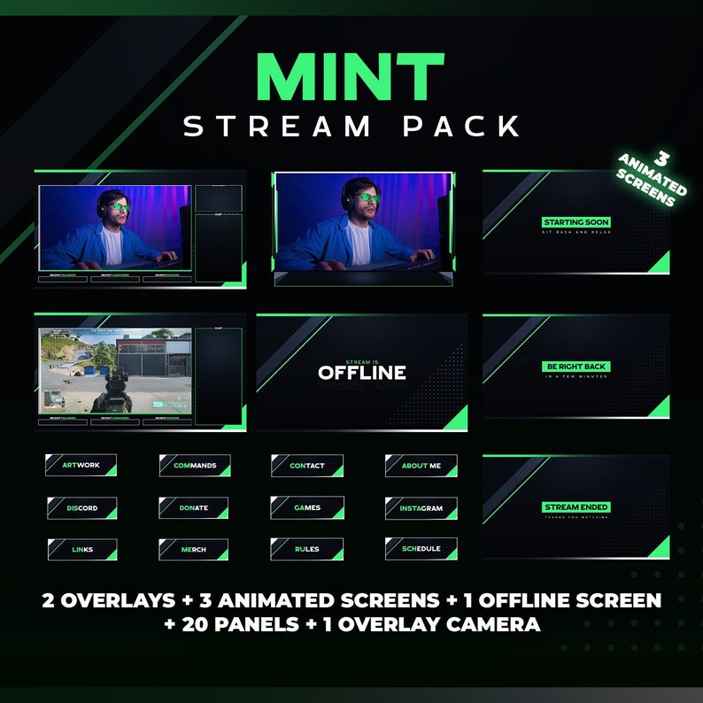 Mint Twitch Overlay Package Green Aesthetic Fresh Animated Stream ...