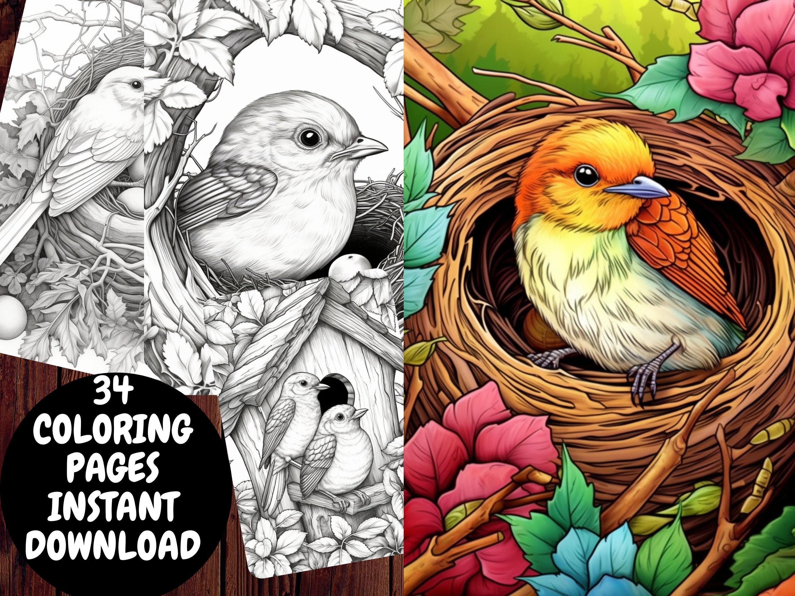 34 Cute Bird Nest Coloring Pages for Adults and Kids, Instant Download ...