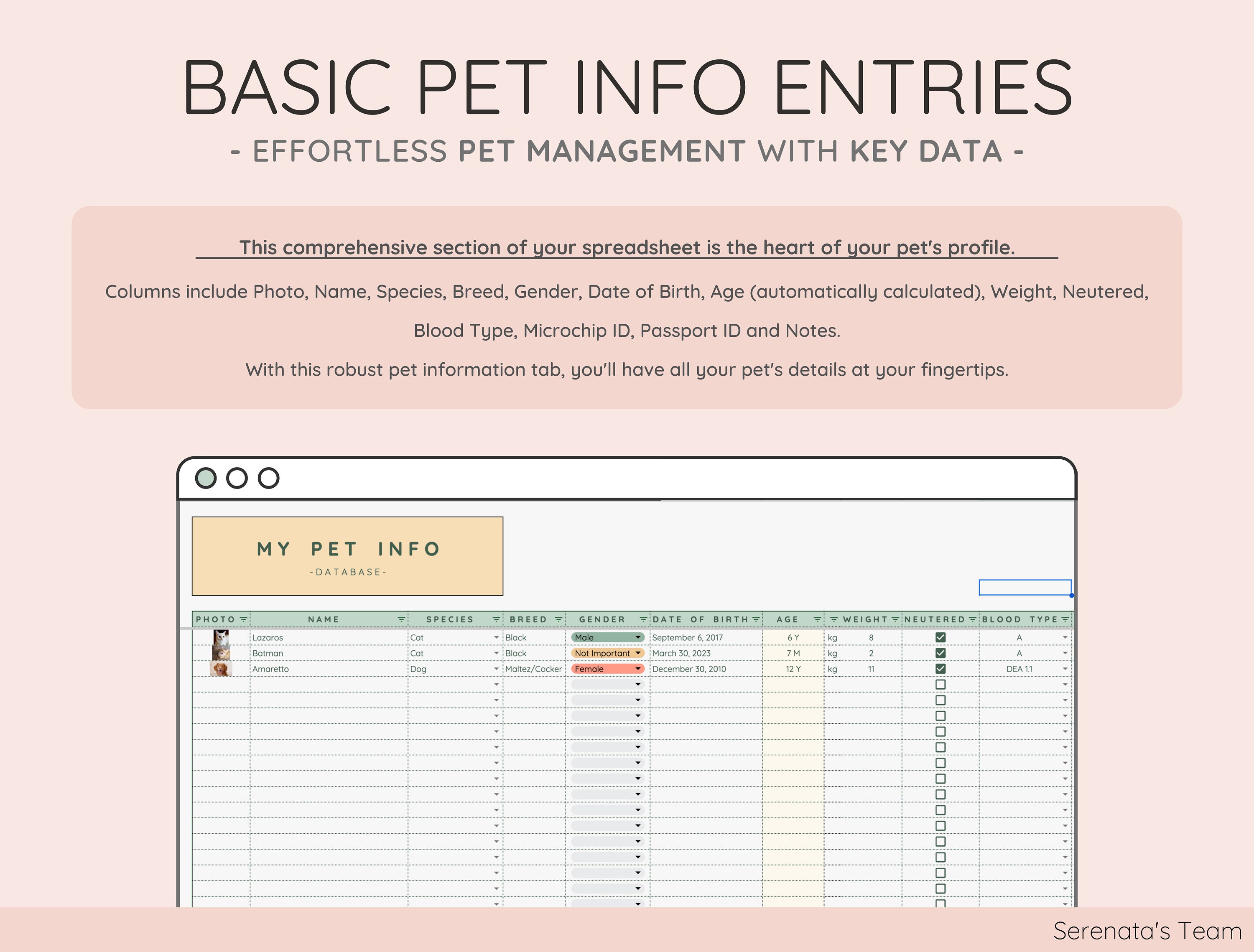 Premium Pet Care Tracker | Organize Your Pet's Life | Essential for Pet ...