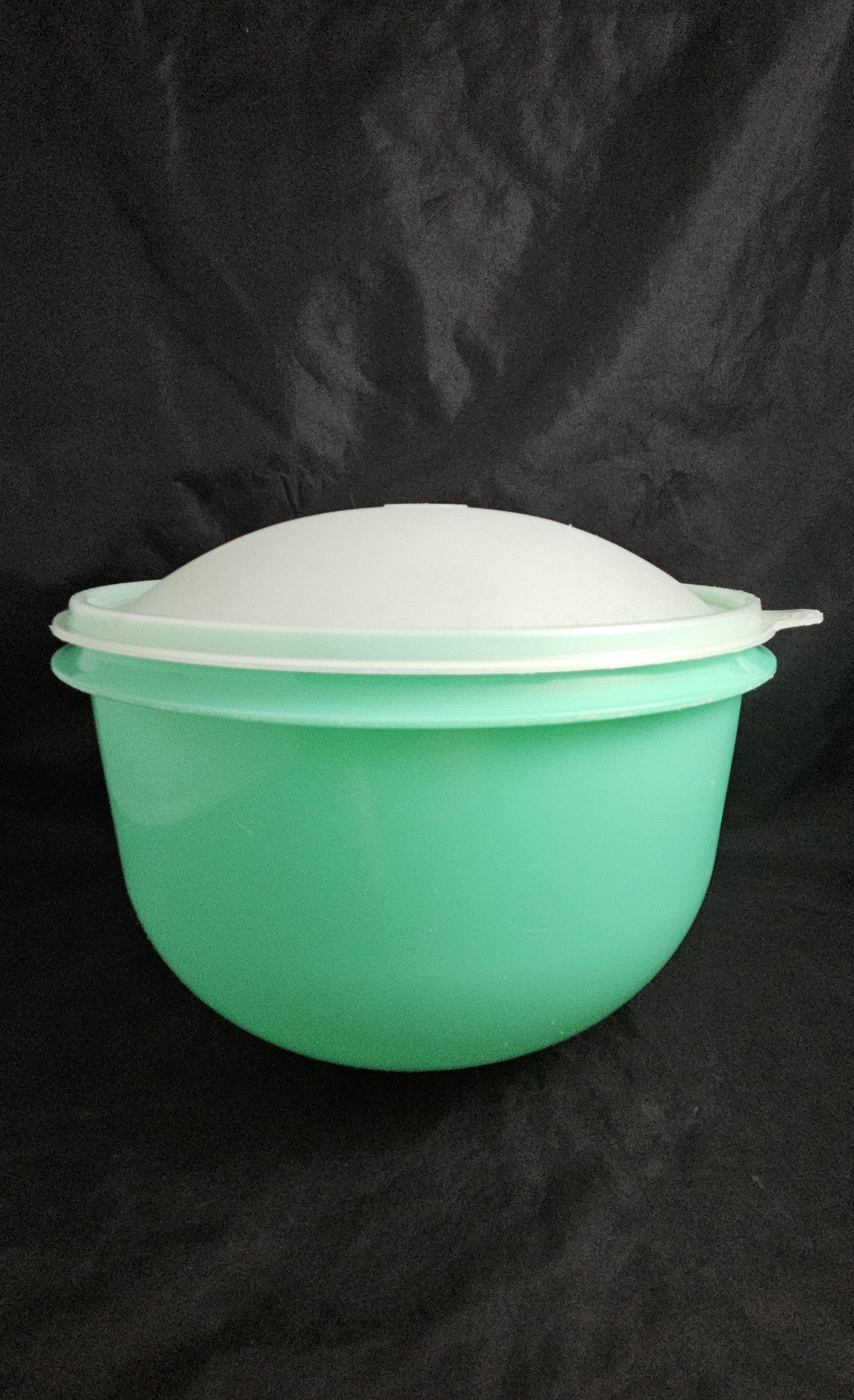 Jadeite Tupperware Lettuce Crisper Keeper 1424-3 With Domed Lid 1425-1 ...