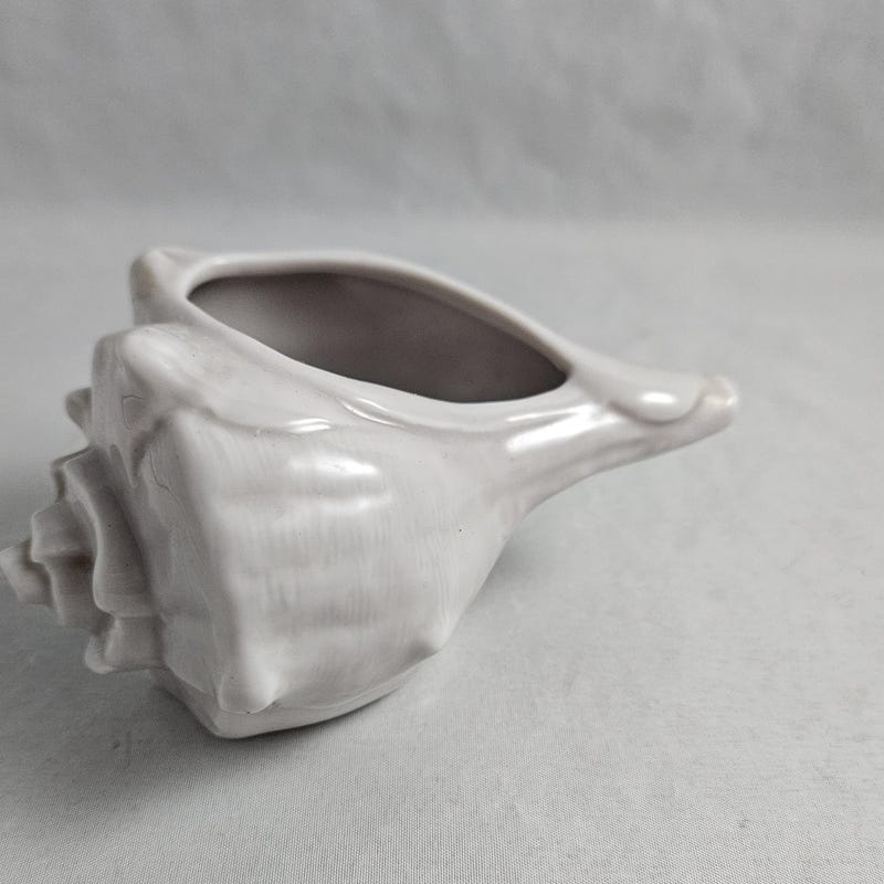 Conch Shell Planter - Etsy