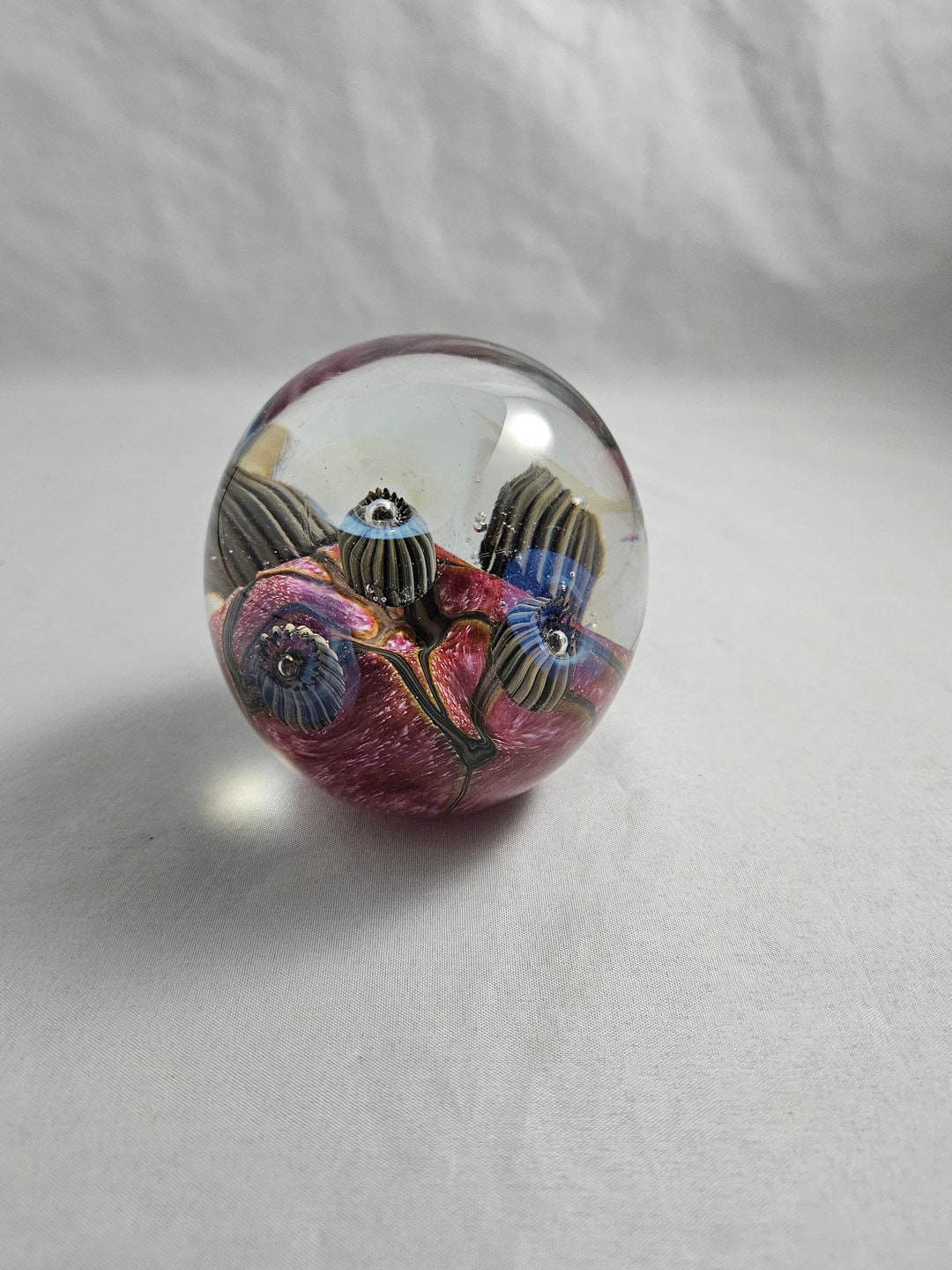 Beautiful Robert Eickholt Paperweight, Signed 2003 Sea Anemone ...