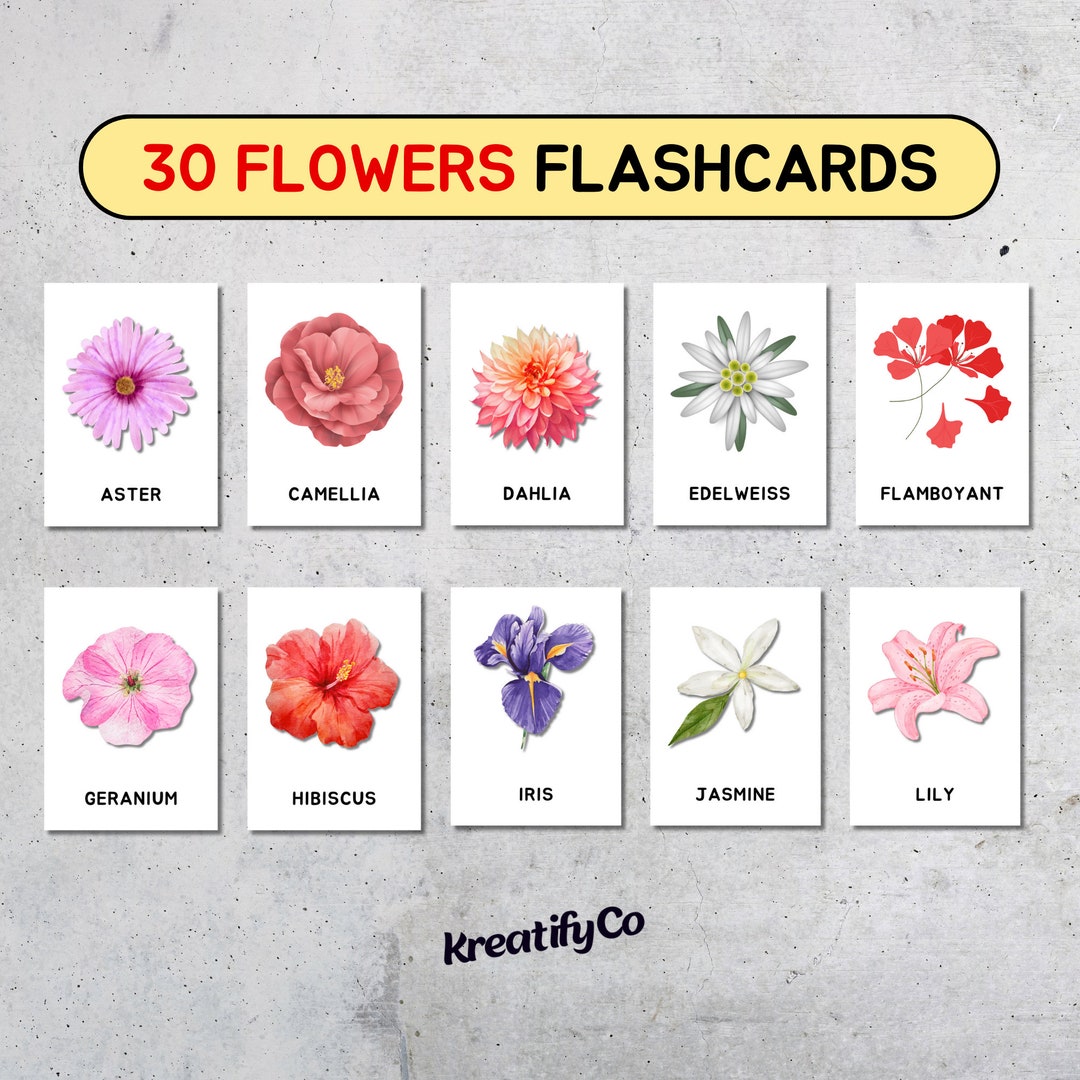 30 Flowers Flashcards Pre-school Cards Educational Printable Cards ...
