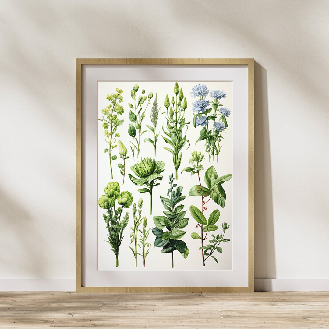 Kitchen Picture "herbs #1" Poster on Matte Premium Paper, Decoration ...