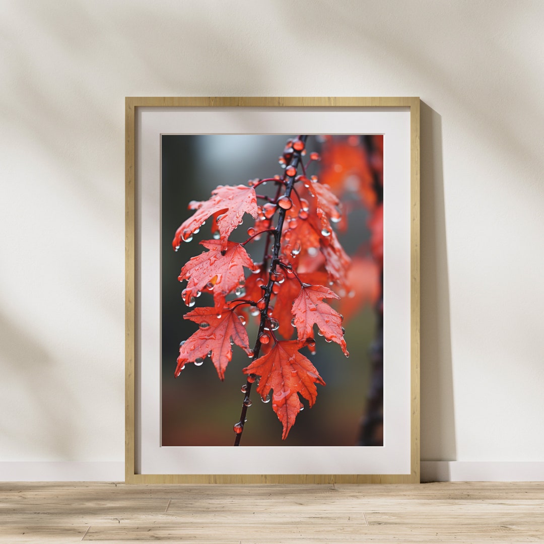 Autumn Picture red Branch 2 Poster on Matte Premium Paper, Decoration ...
