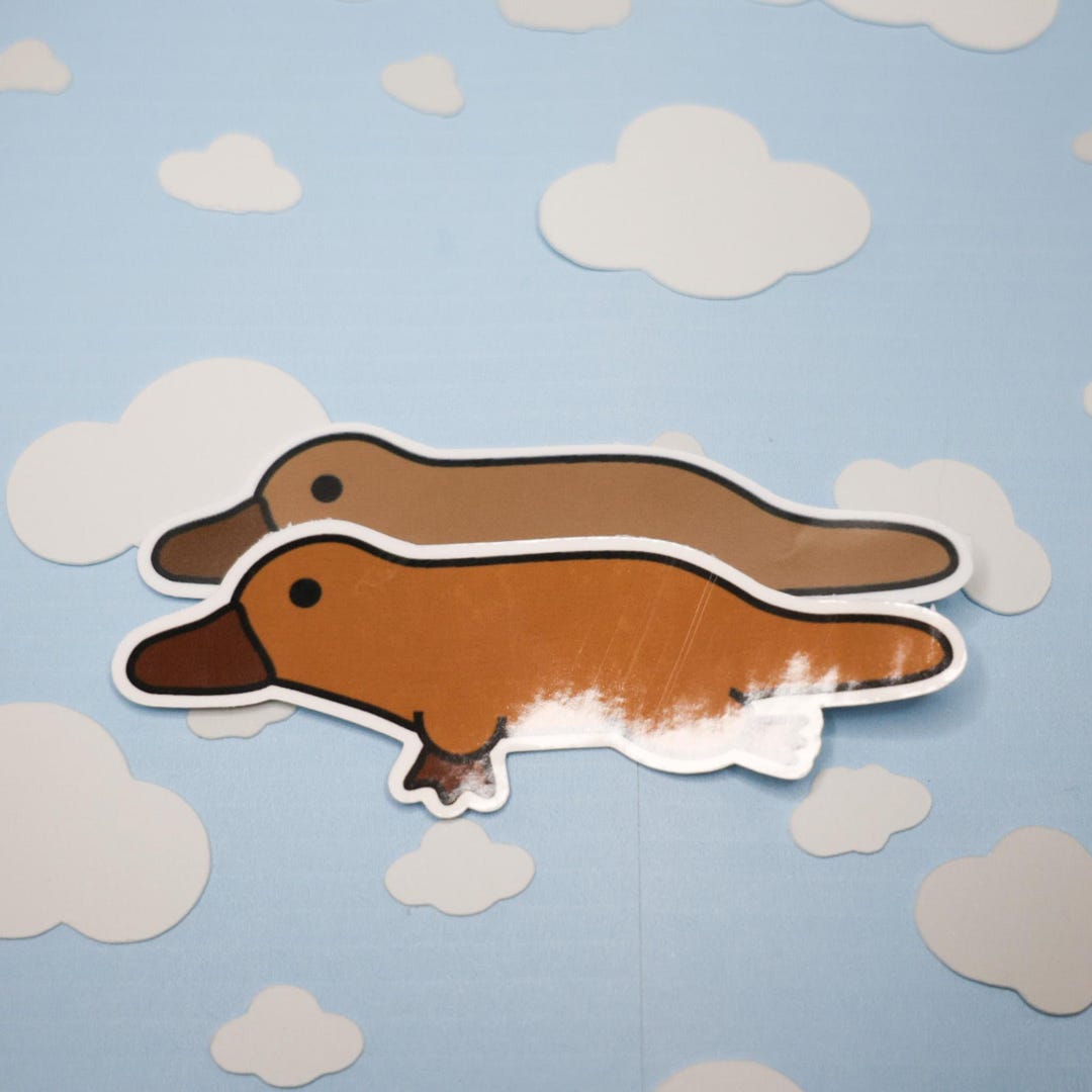 Funny Platypus Stickers | Single - Etsy