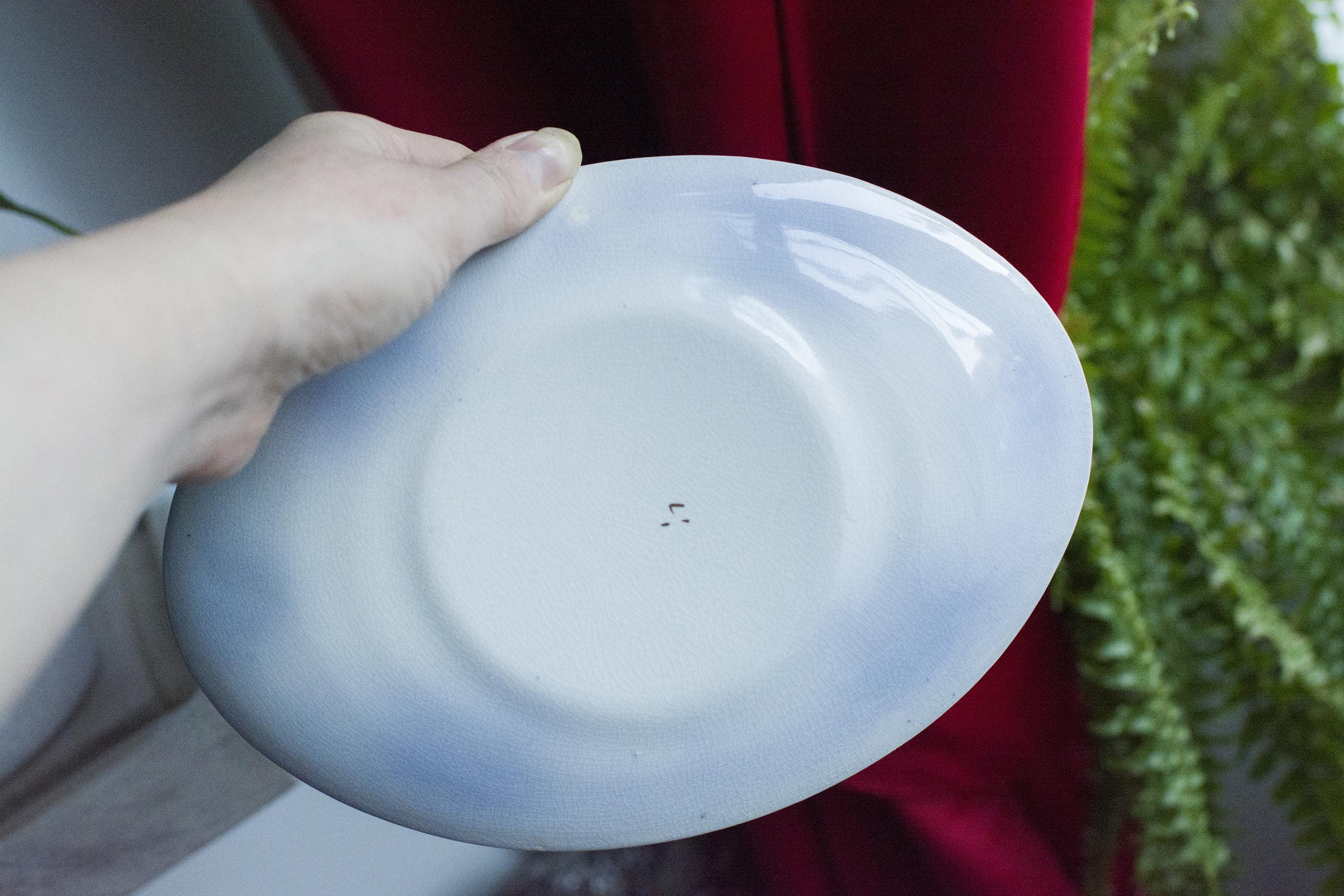 9" Antique T Till and Sons VENUS Pattern, Flow Blue 1890s, Collectable ...