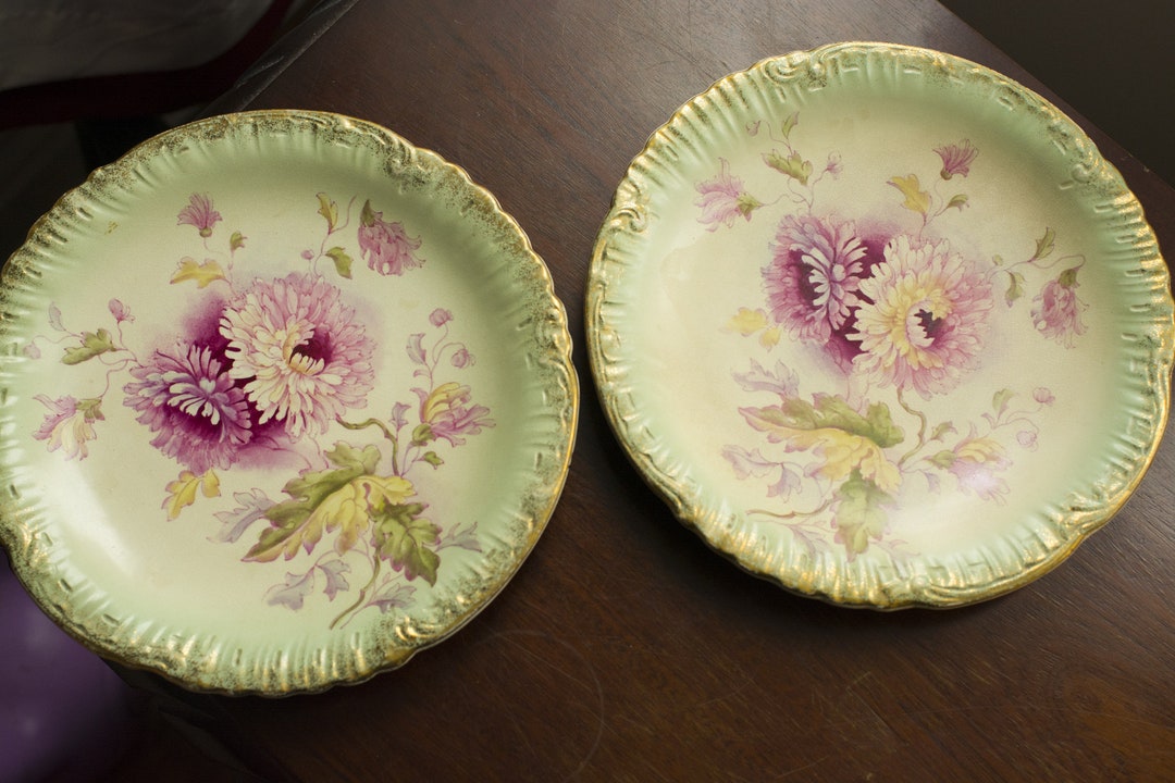 Antique Set of 2 Plates Royal Essex Pattern From SF & Co (crown Devon ...