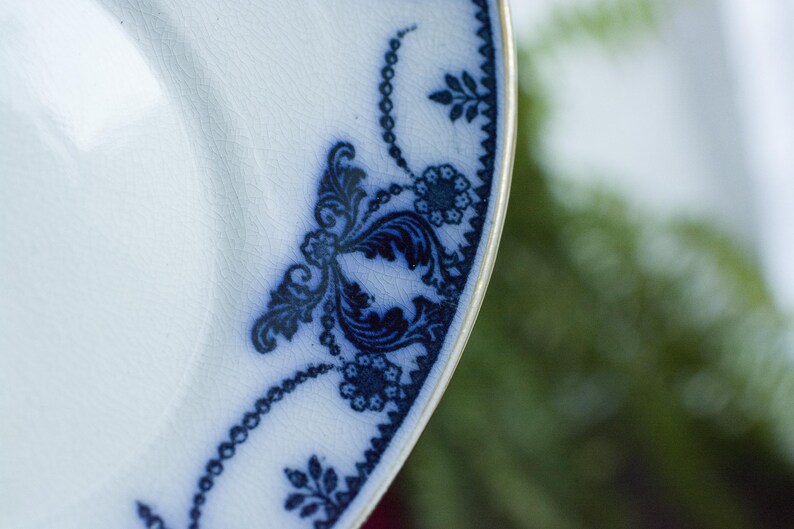 9" Antique T Till and Sons VENUS Pattern, Flow Blue 1890s, Collectable ...