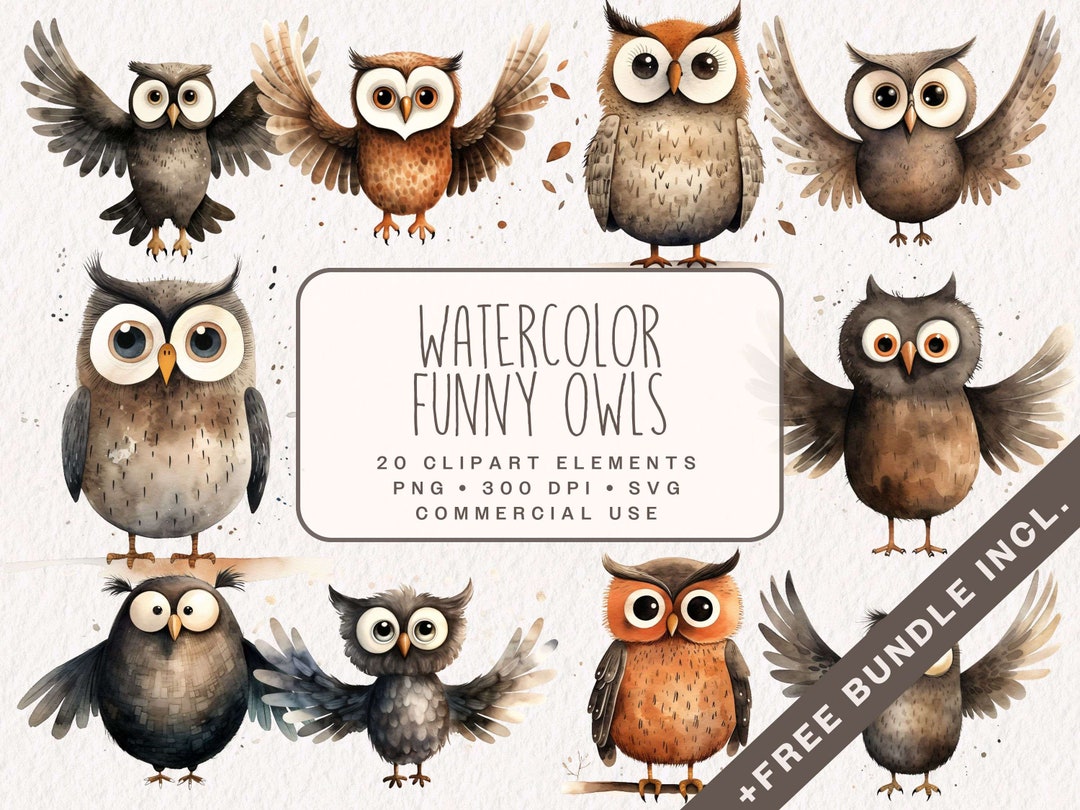 Watercolor Funny Owls Clipart Bundle, Cute Bird Graphics in PNG and SVG ...
