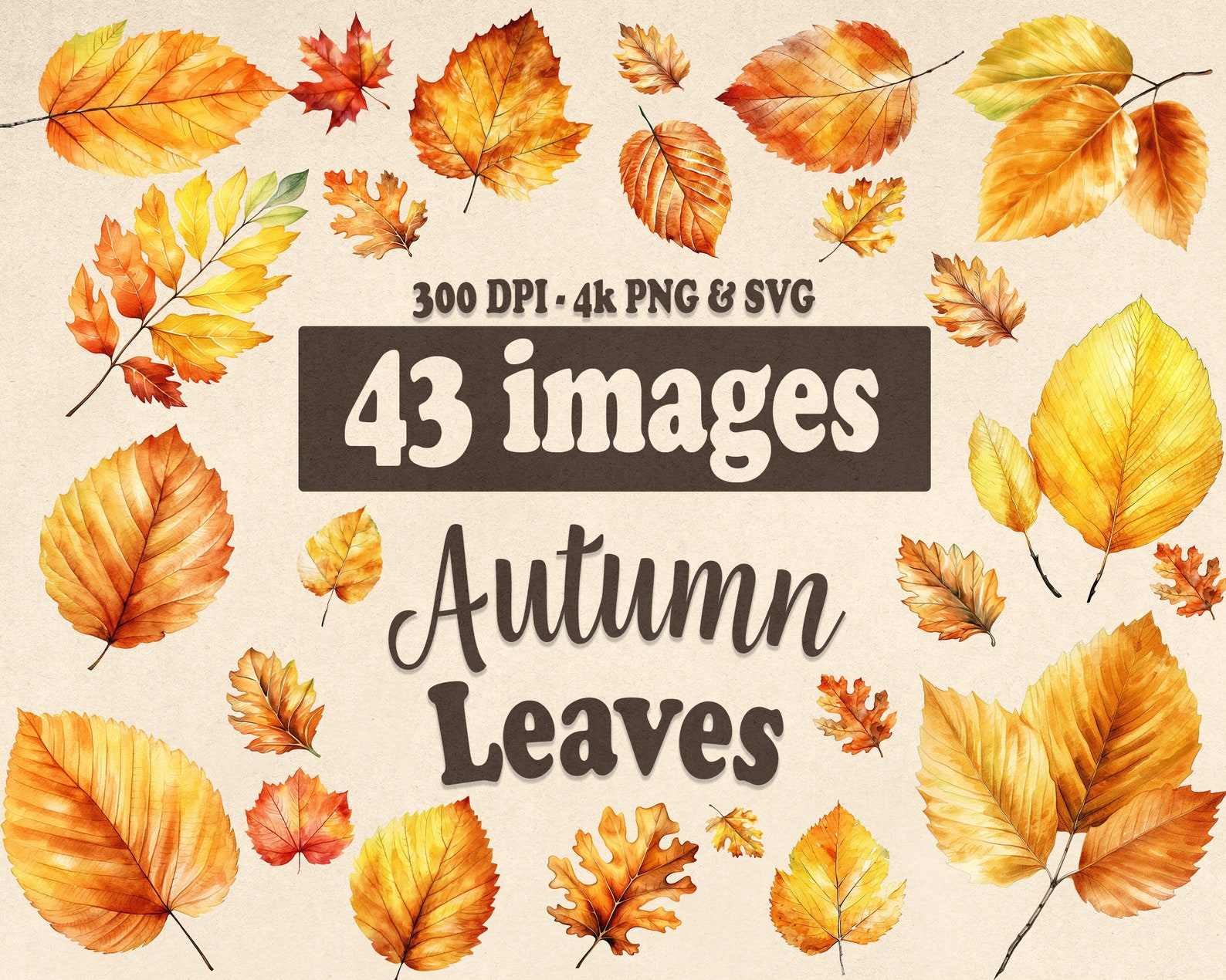 Autumn Leaves Clipart SVG Watercolor Fall Leaves PNG - Etsy
