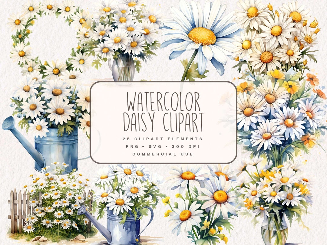 Watercolor Daisy Flower Clipart Bundle, Cute Daises Graphics, Digital ...