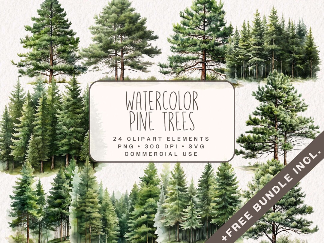 Watercolor Pine Trees Clipart Bundle, Woodland Graphics in PNG and SVG ...