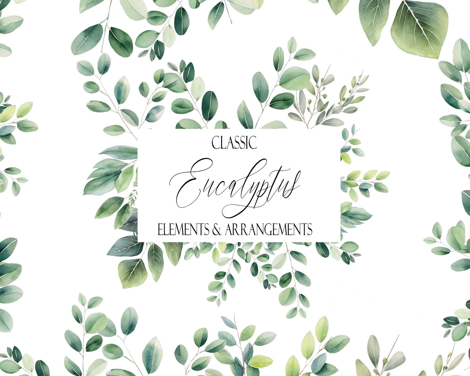 Watercolor Greenery Eucalyptus Clipart Greenery Clipart - Etsy