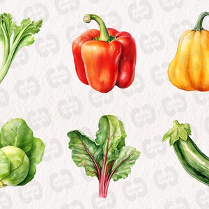 Watercolor Vegetables Clipart Bundle, Veggies in PNG and SVG, Healthy ...