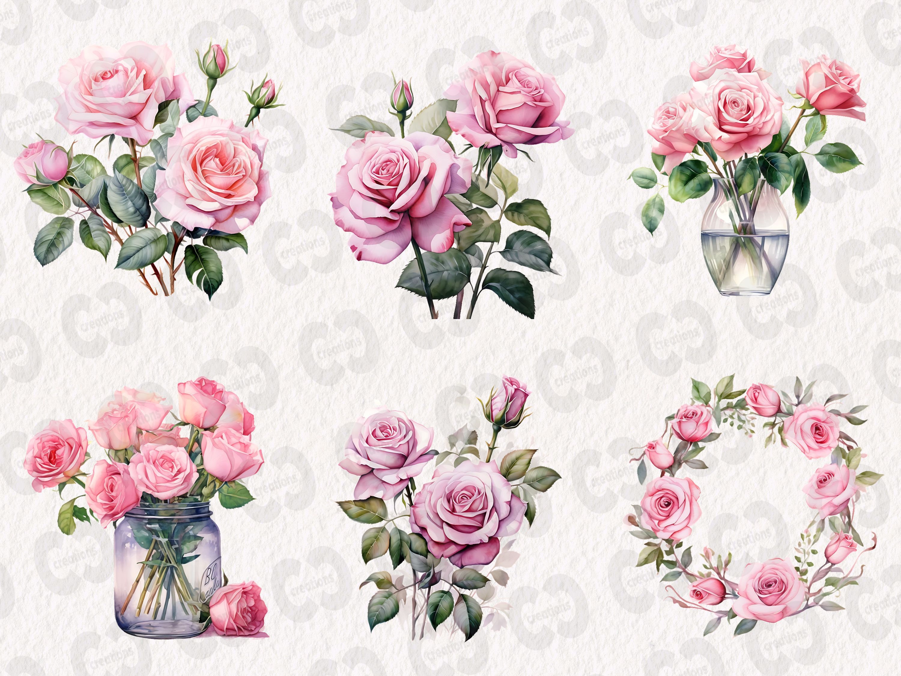 Watercolor Pink Roses Clipart Bundle Cute Rose Flower - Etsy