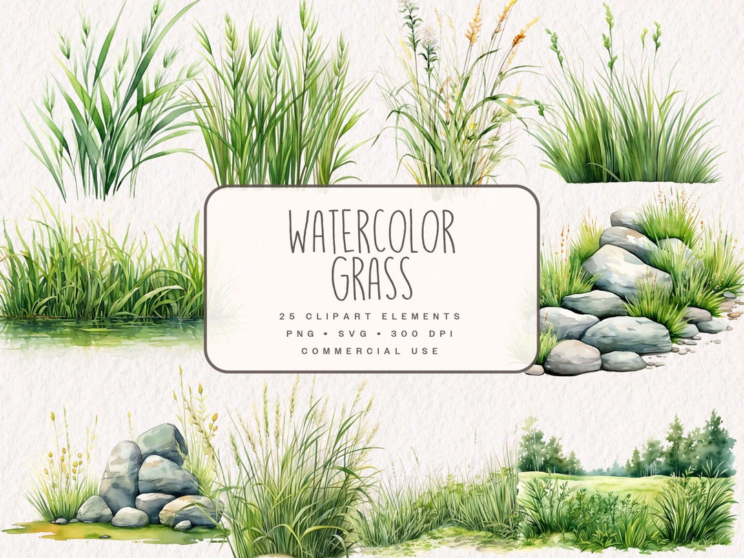 Watercolor Grass Clipart Bundle, Botanical Grass Borders, Tufts of ...