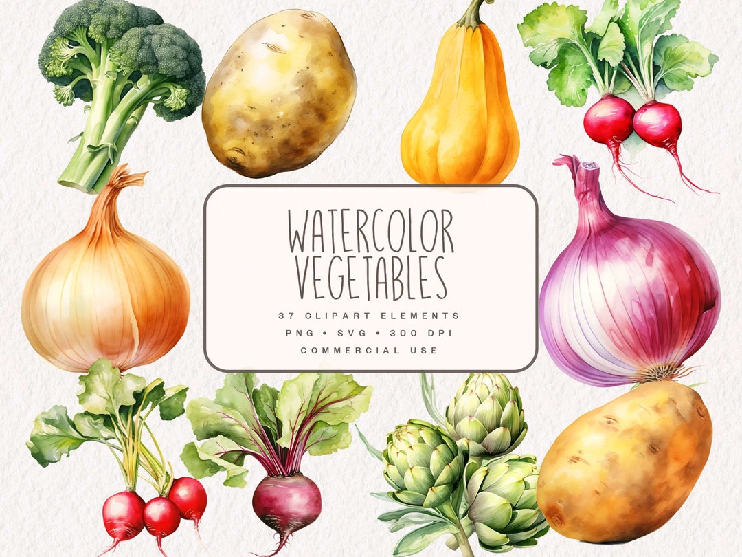Watercolor Vegetables Clipart Bundle, Veggies in PNG and SVG, Healthy ...